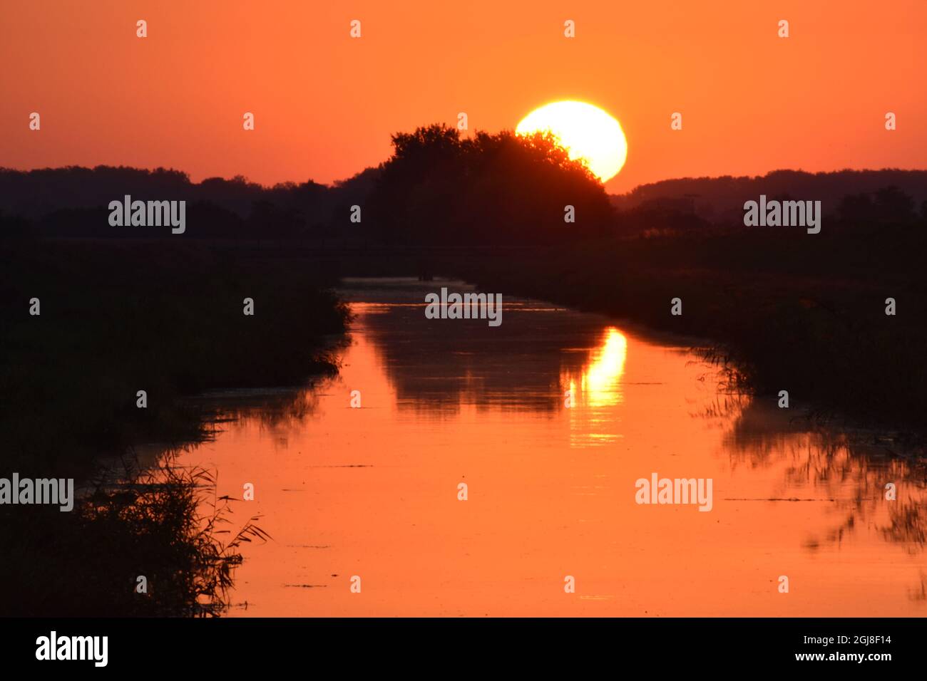 Beautiful sun reflecting over calm water with distant trees and orange ...