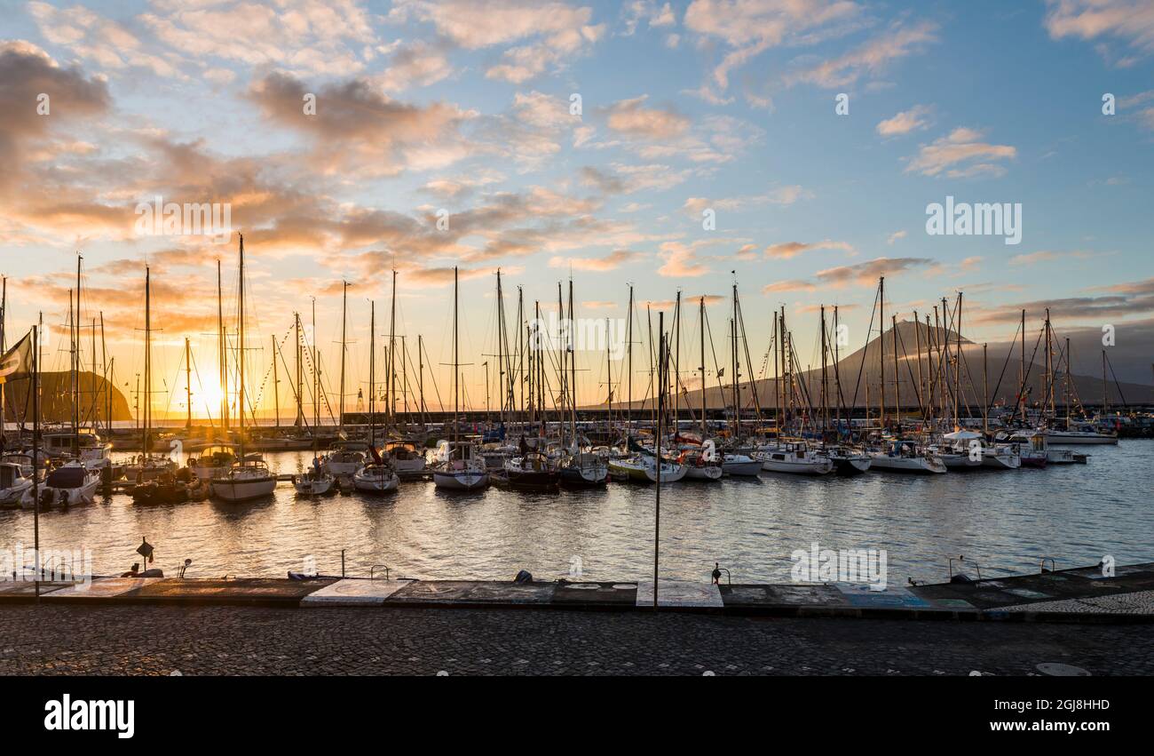 The marina, famous and loved by circumnavigators. Horta, the main town ...