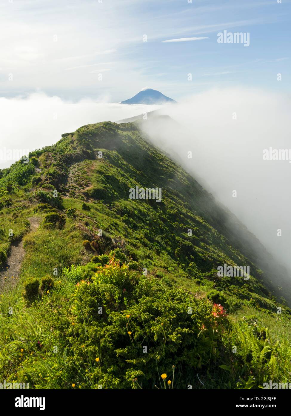 The Caldera of Faial at Cabeco Gordo, the island of Pico in the ...