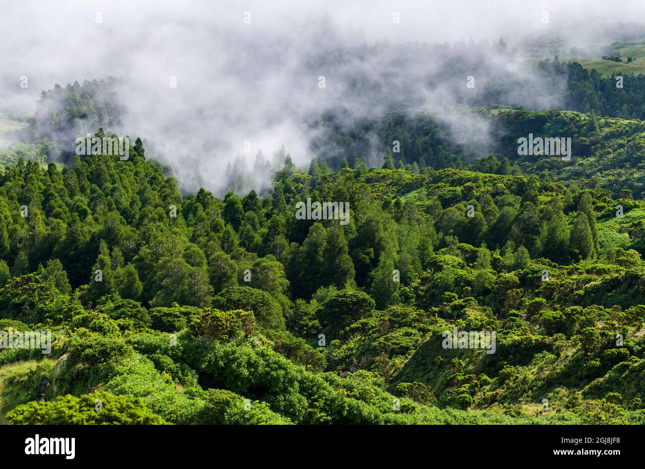 The Caldera of Faial, view from the rim of the crater over the island ...