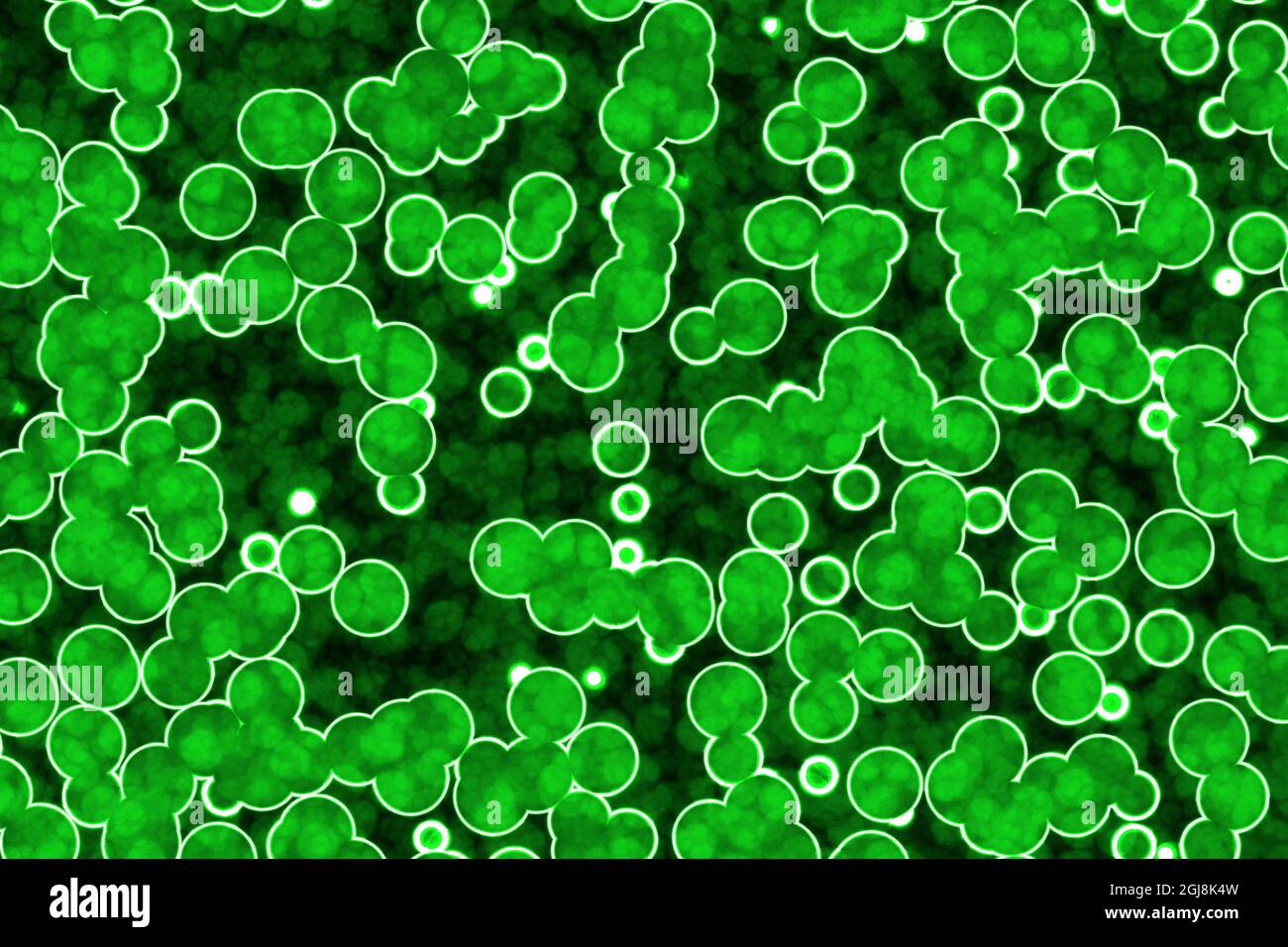 nice creative green a lot organic cells computer art background ...