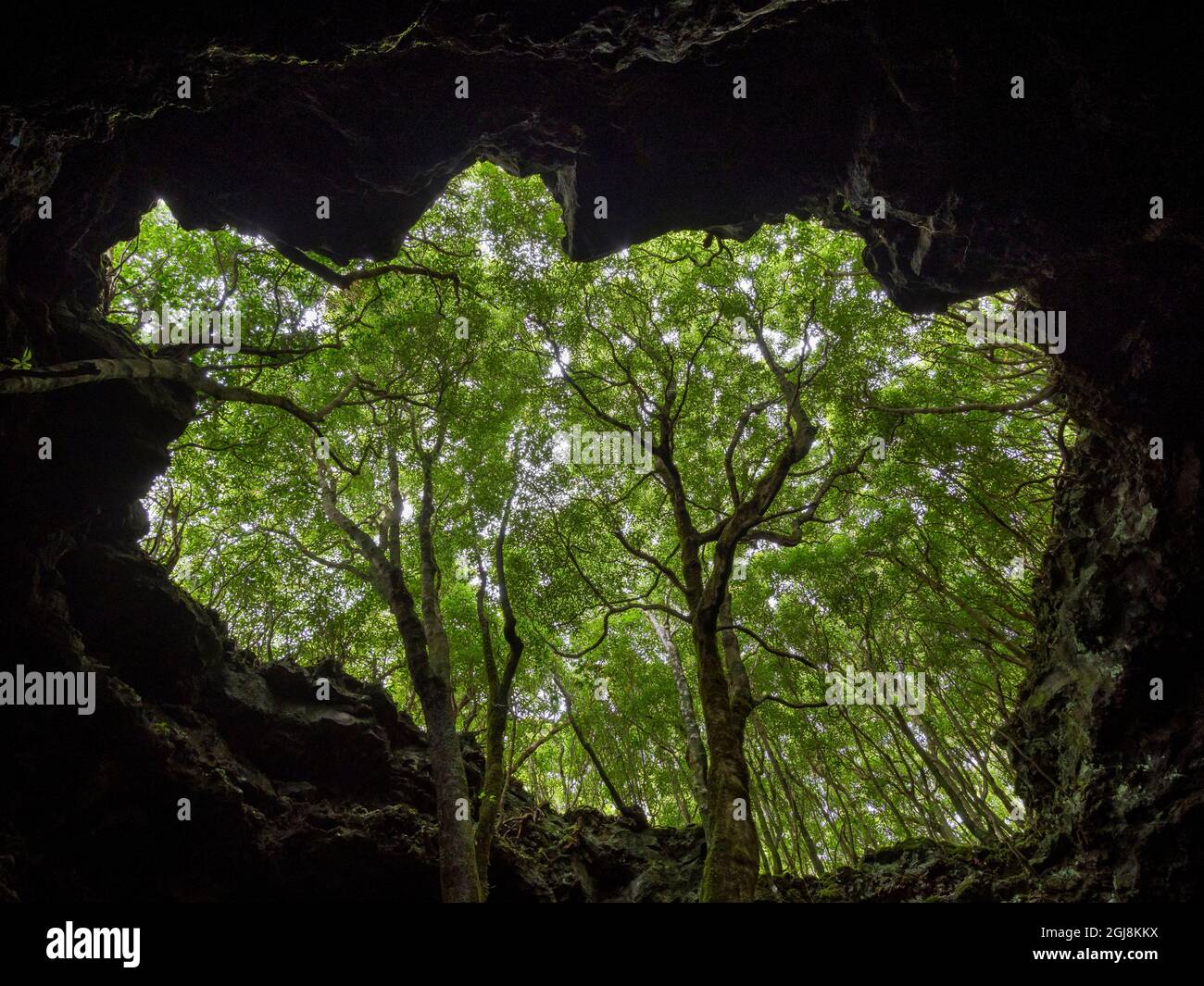 Lava tube Gruta das Torres, collapsed ceiling. Pico Island, an island ...