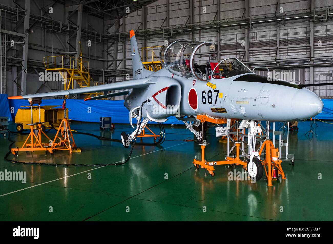 Getting ready to fly Stock Photo - Alamy