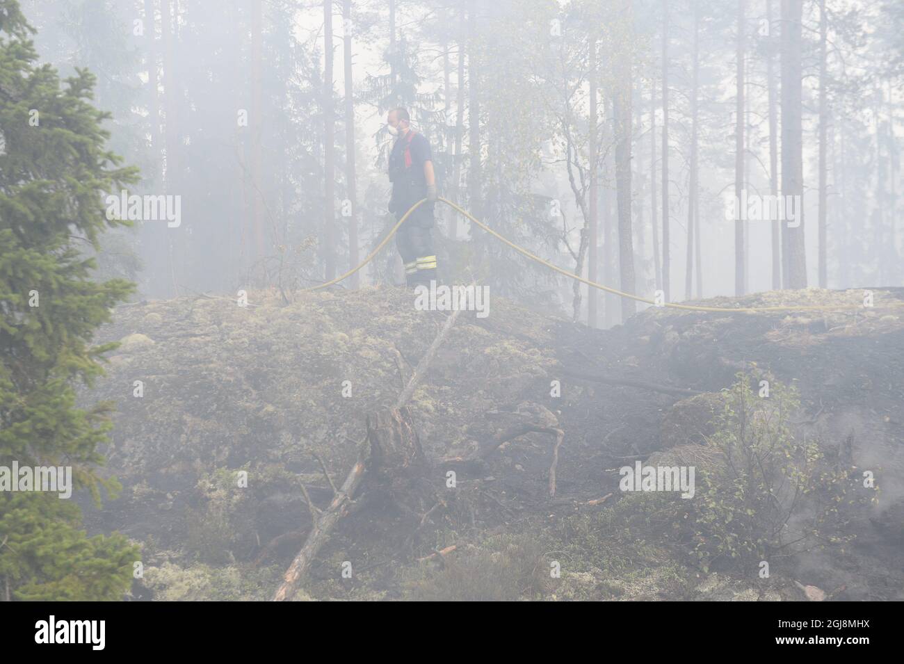 Seglingsberg 20140806 A firefighter hoses down the underbrush near ...