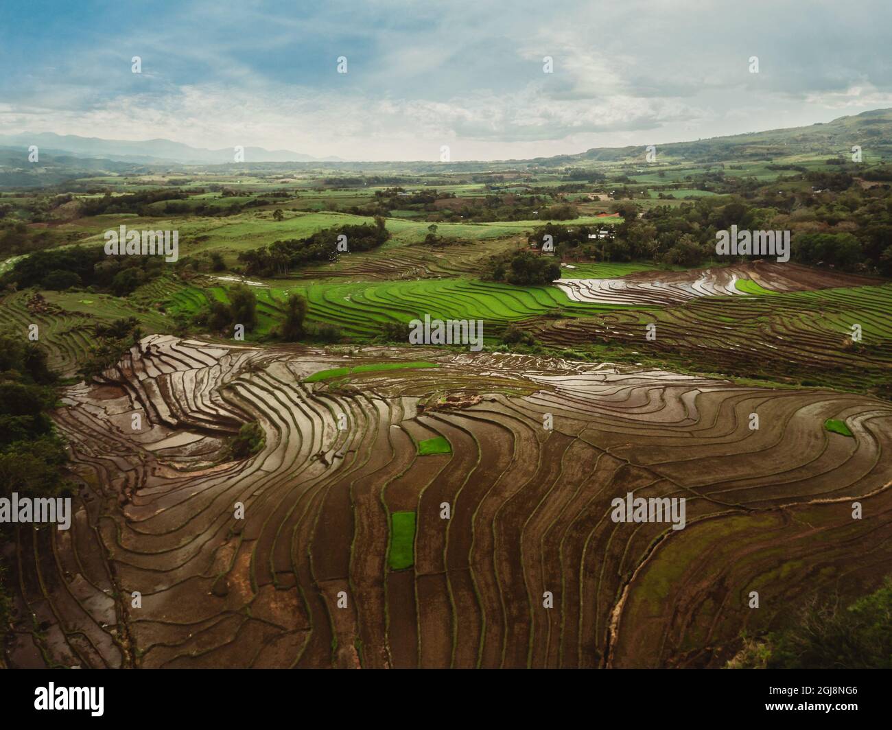 Aerial view of a muddy rice field in Canlaon Negros Oriental ...
