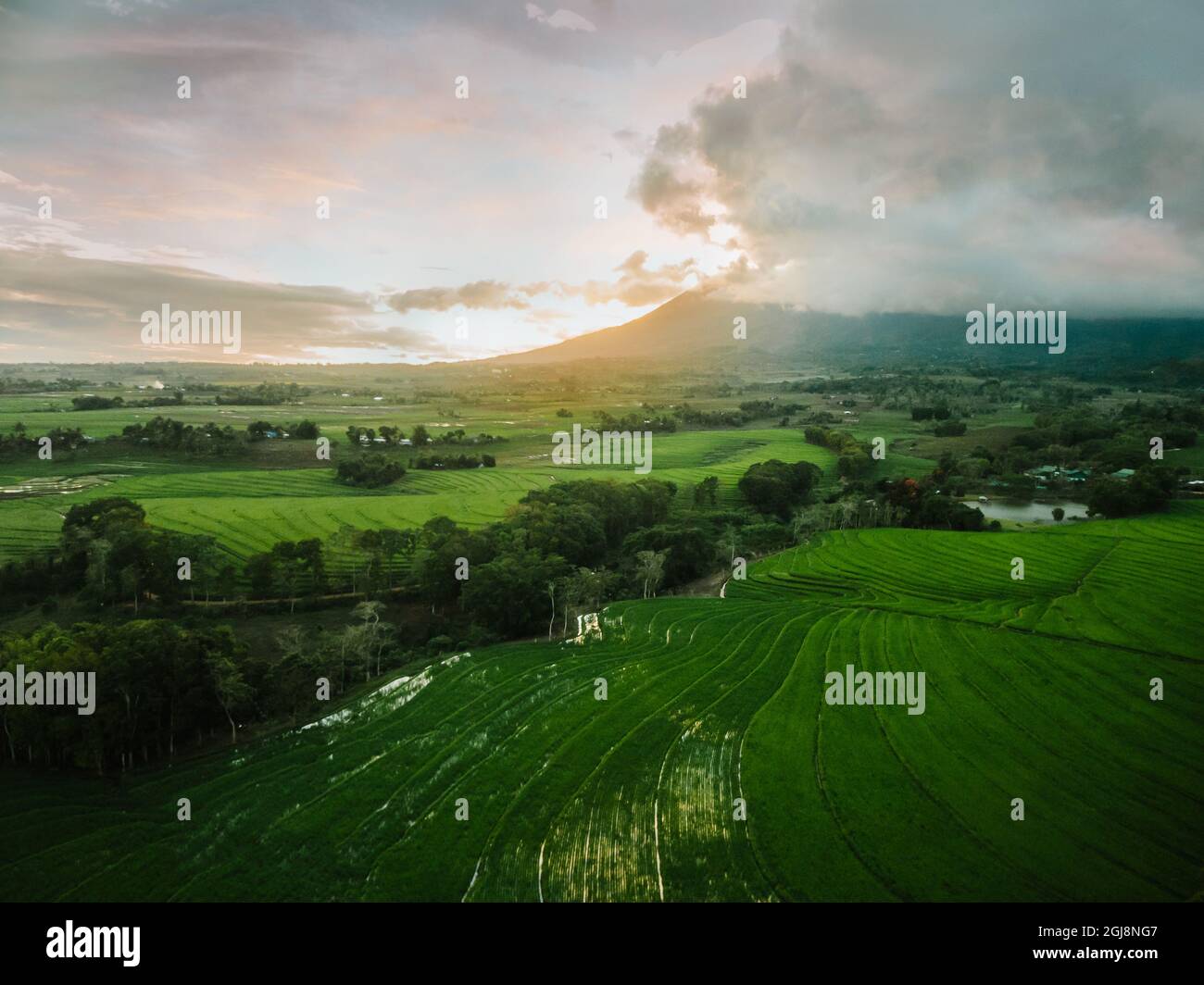 Aerial view of the rice field in Canlaon Negros Oriental, Philippines ...