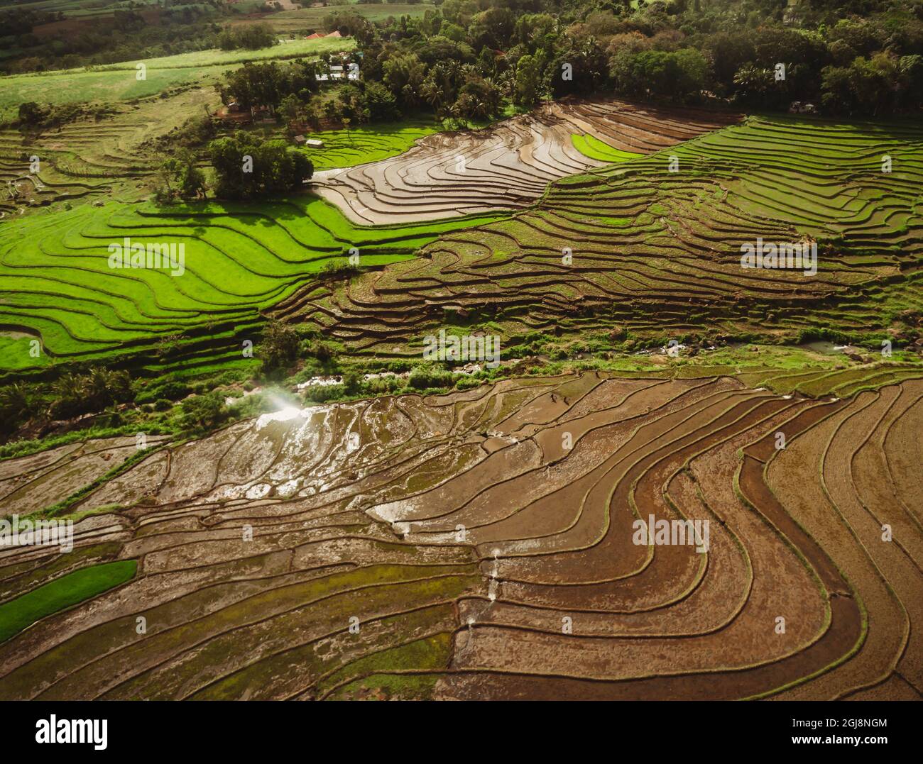 Aerial view of a muddy rice field in Canlaon Negros Oriental ...