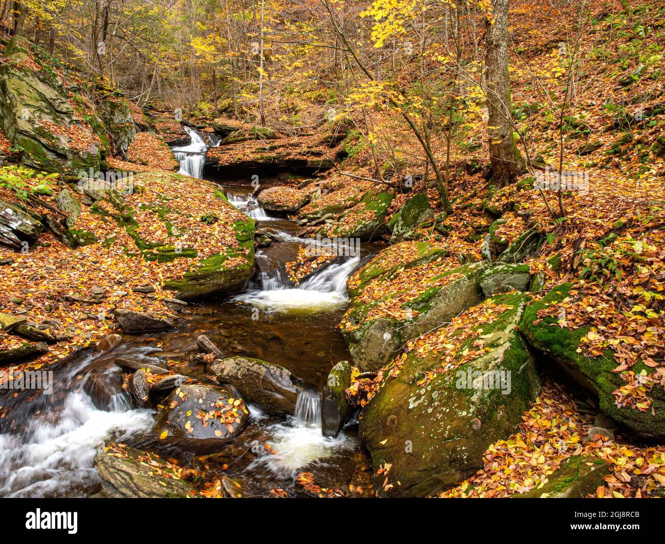 Waterfalls at Ricketts Glen State Park, PA Stock Photo - Alamy