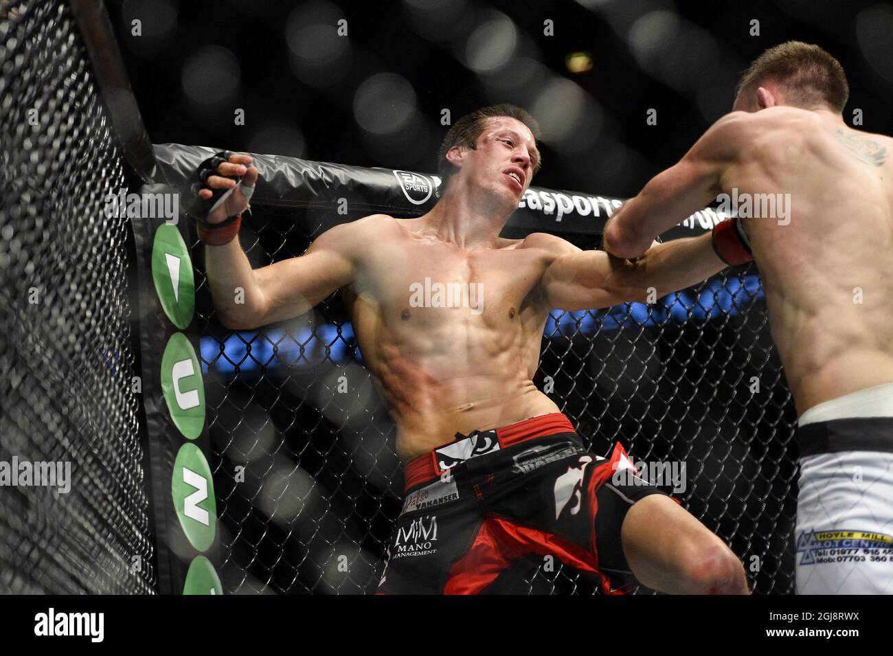 Ufc england hi-res stock photography and images - Alamy