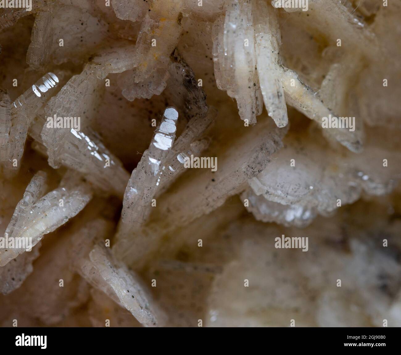 Barite specimen hi-res stock photography and images - Alamy