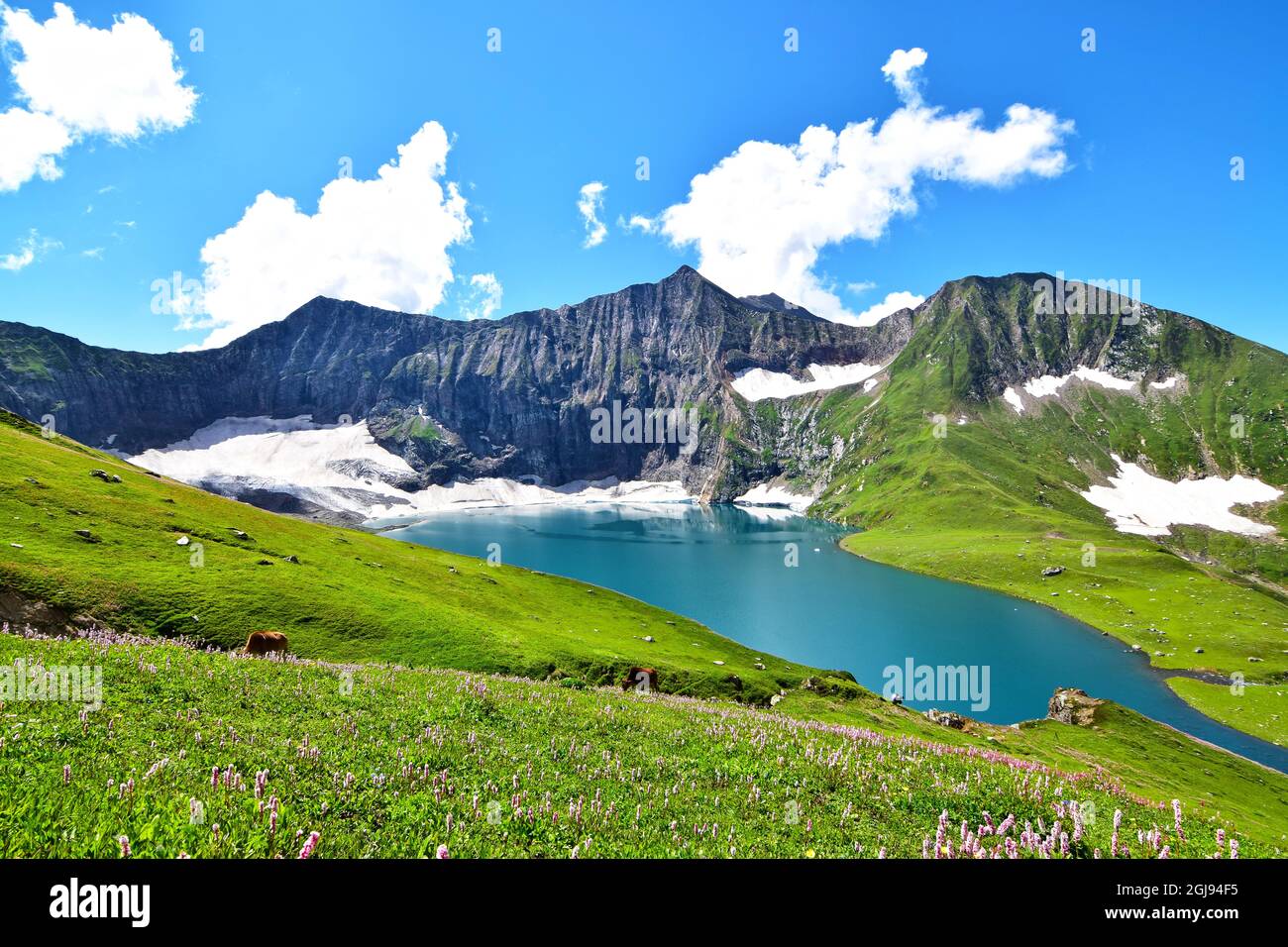 Breathtaking view of green field with lake and snowy rocks under blue ...