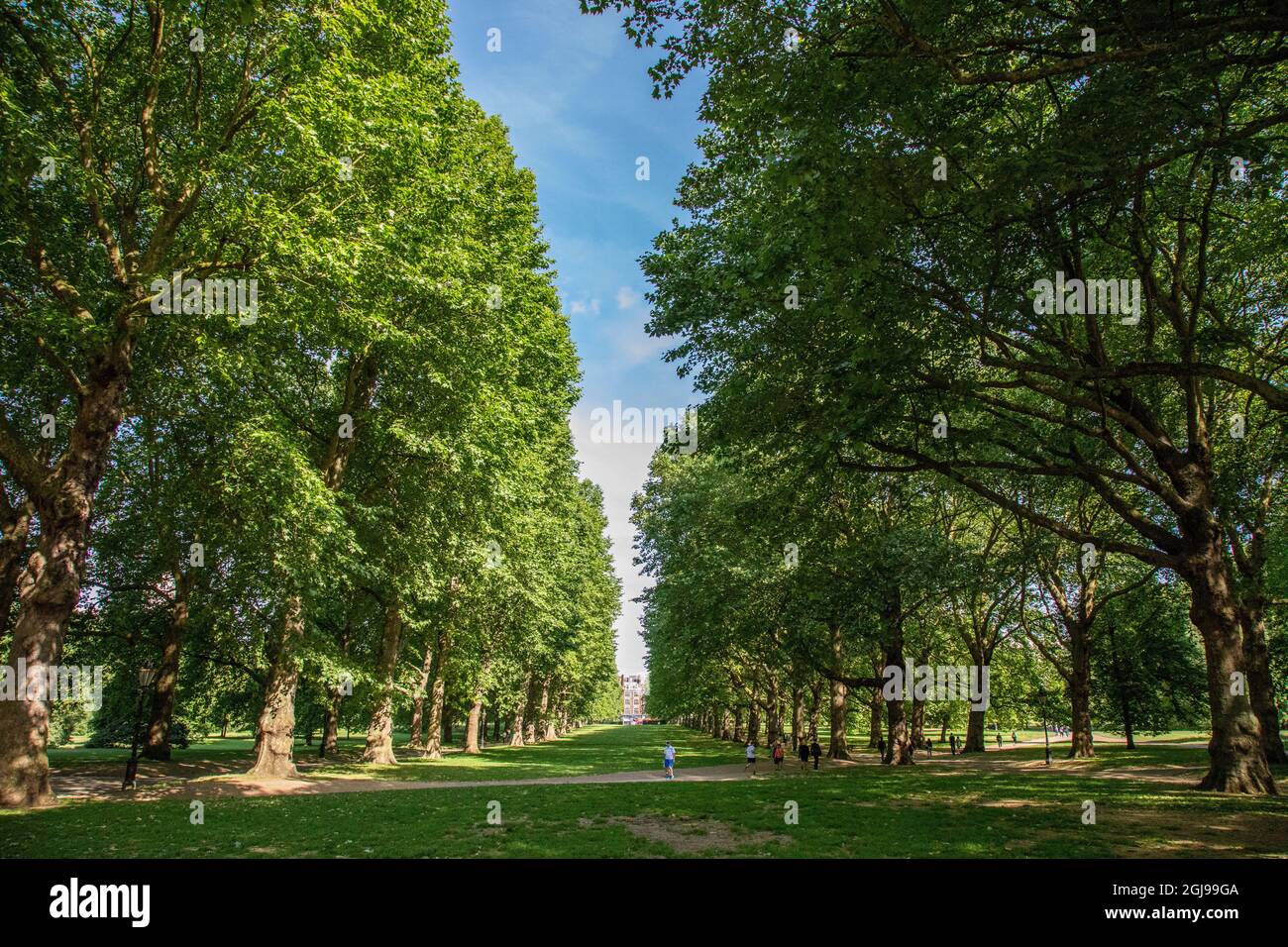 Avenue of trees in Victoria Park East London, UK Britain Stock Photo ...