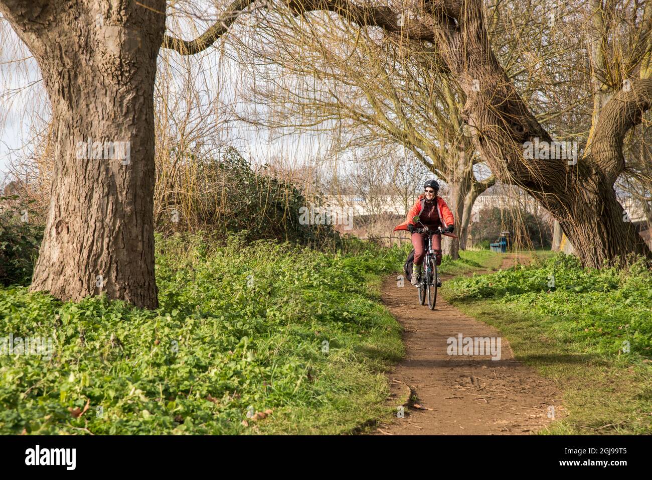 Woman cycling the south side Thames Path in London, U.K Stock Photo - Alamy