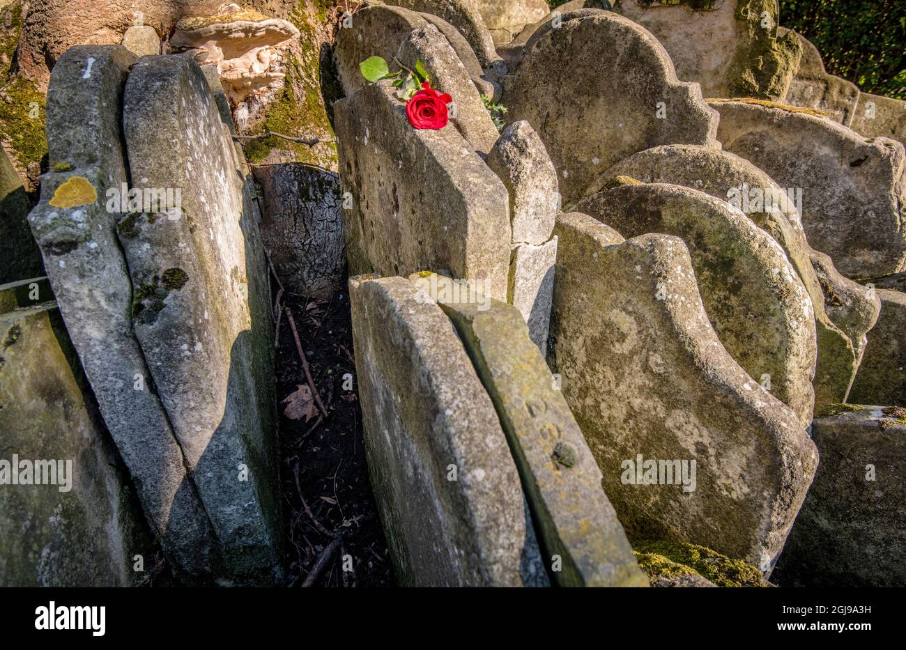 Richard Hardy High Resolution Stock Photography and Images - Alamy