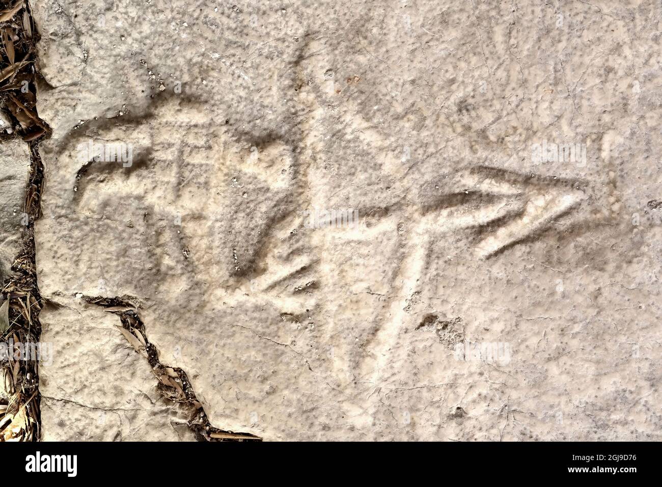 Stecci in pavement of medieval Serbian orthodox church in Ošanjići ...
