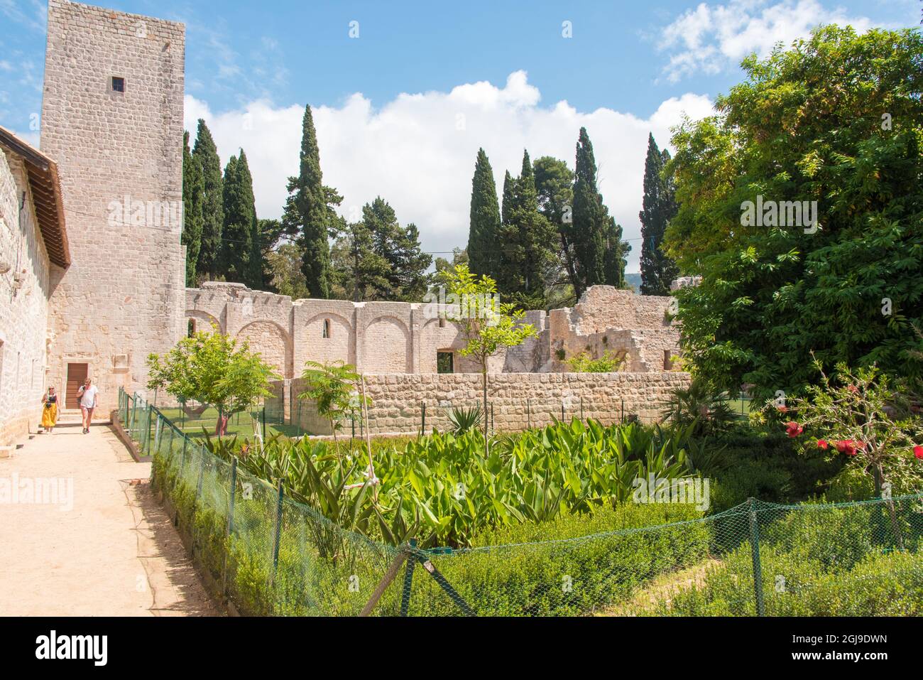 Europe, Croatia, Dubrovnik. Lokrum Island Benedictine Monastery being ...