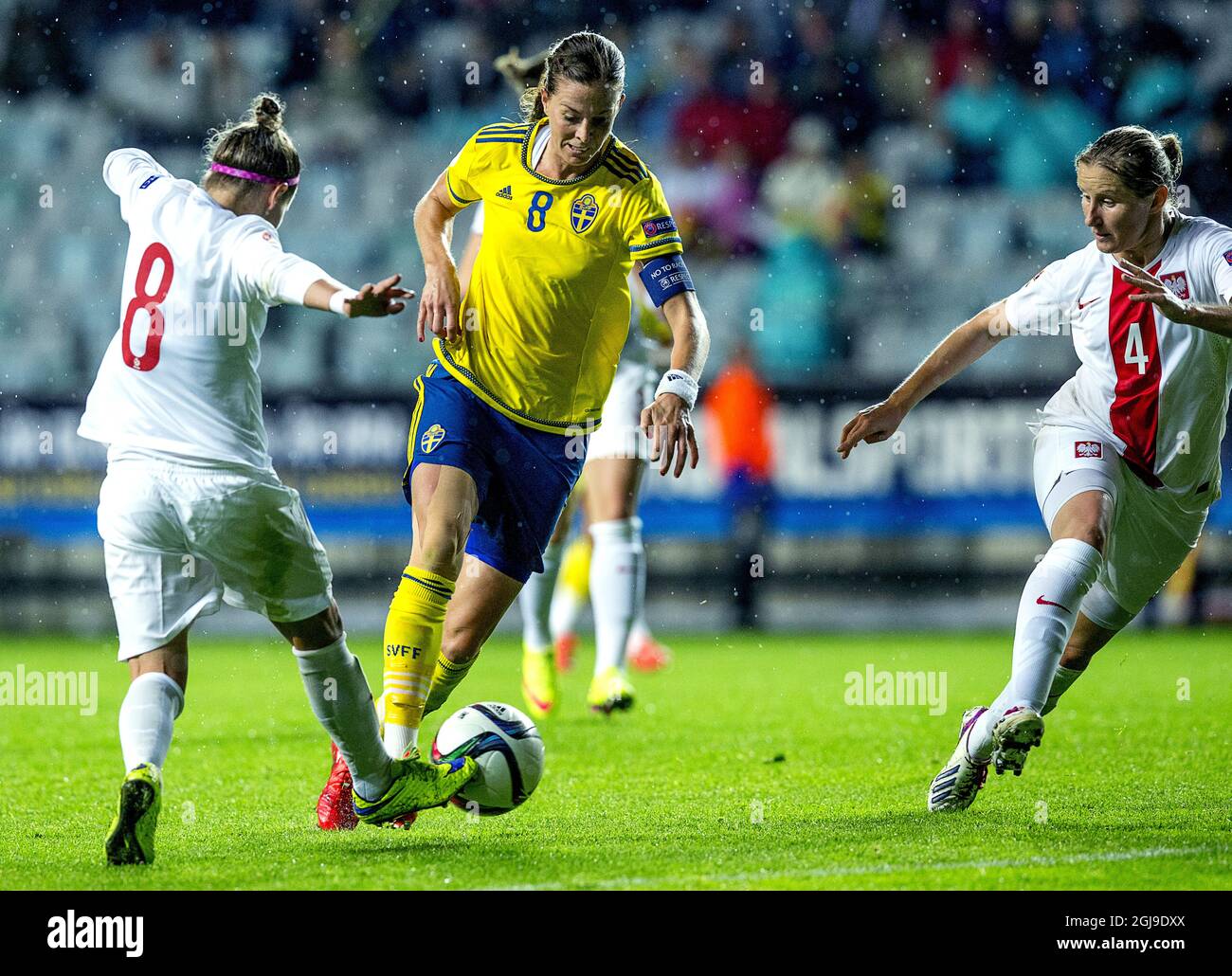 Schelin hi-res stock photography and images - Alamy