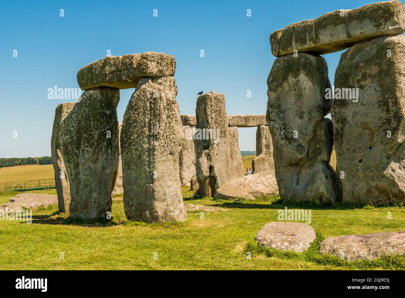 Stonehenge Neolithic monument, Salisbury Plain, Salisbury, Wiltshire ...