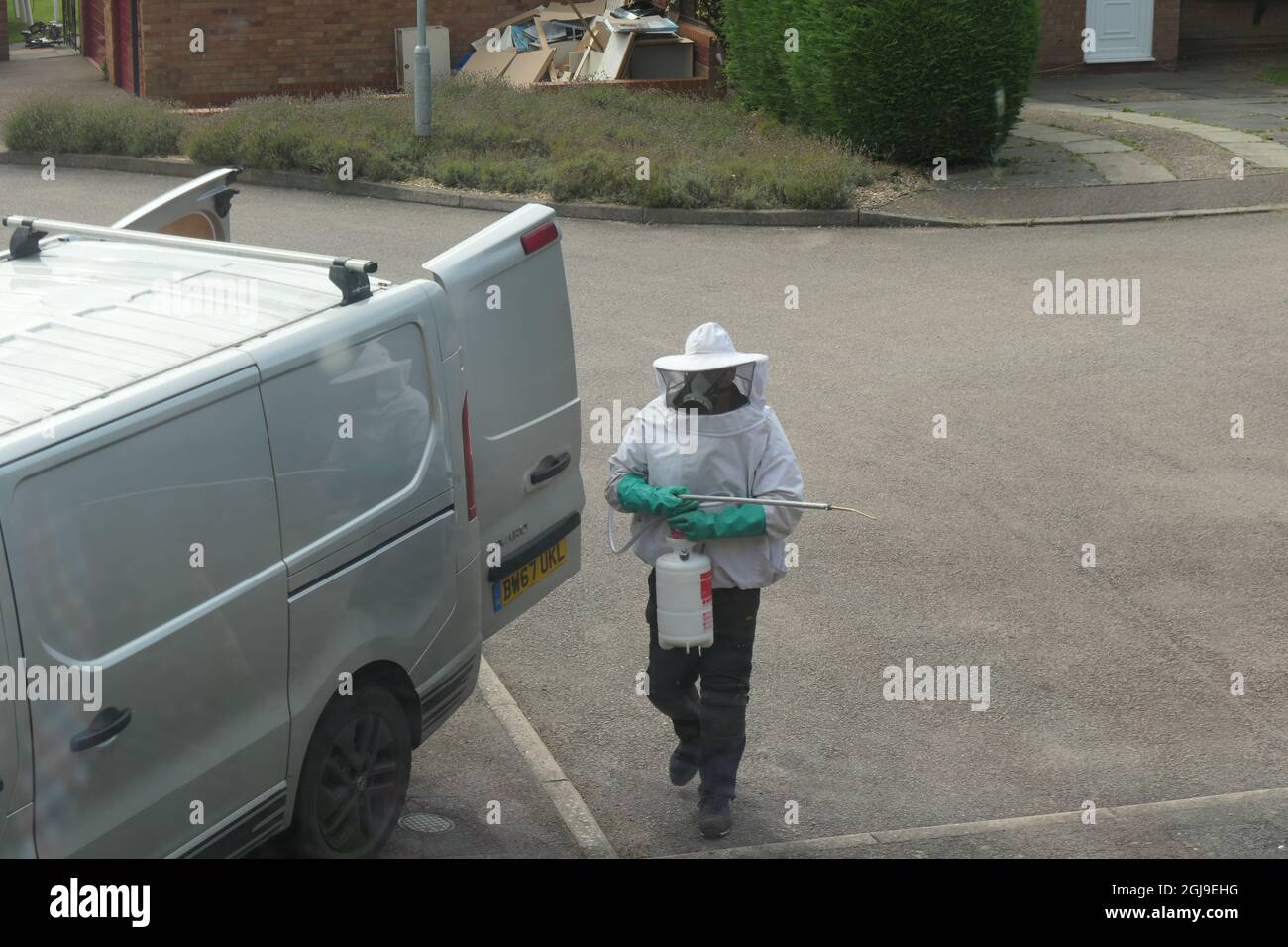 Extermination wasp hi-res stock photography and images - Alamy