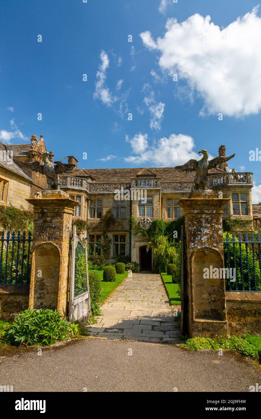 Family of eagles hi-res stock photography and images - Alamy