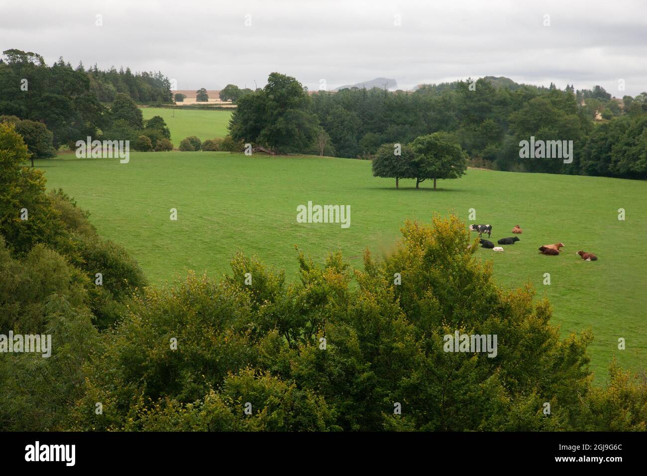 Highland cow castle hi-res stock photography and images - Alamy