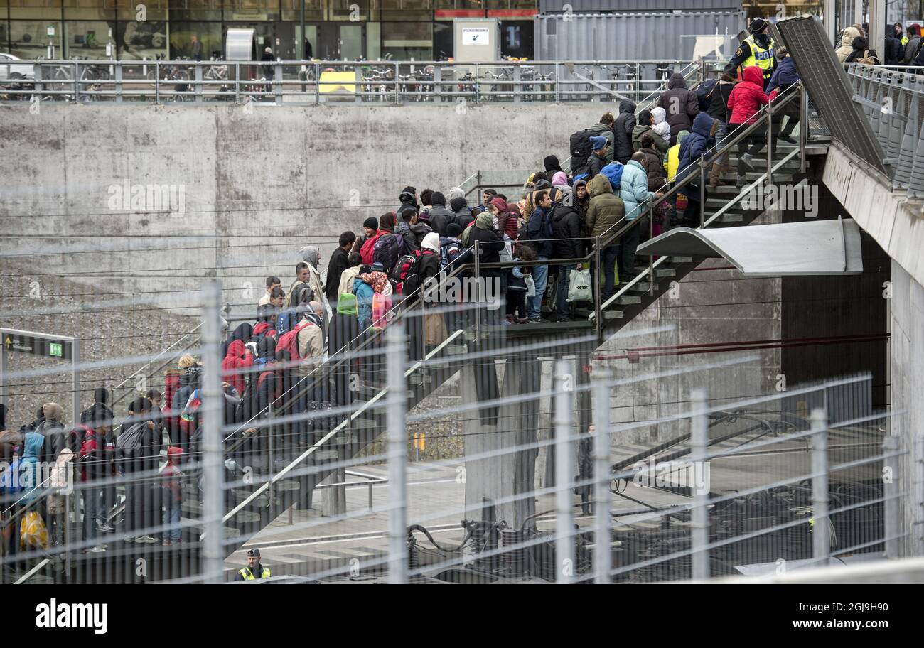 Arriving from migration hi-res stock photography and images - Alamy