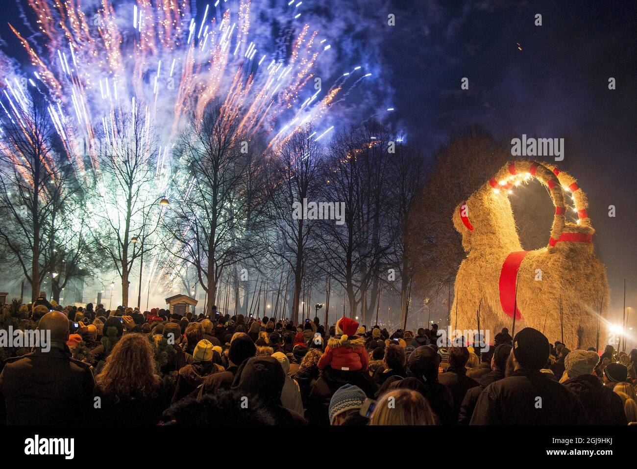 GAVLE 2015-11-29 The traditional Gavle Goat was inaugurated Sunday Nov ...
