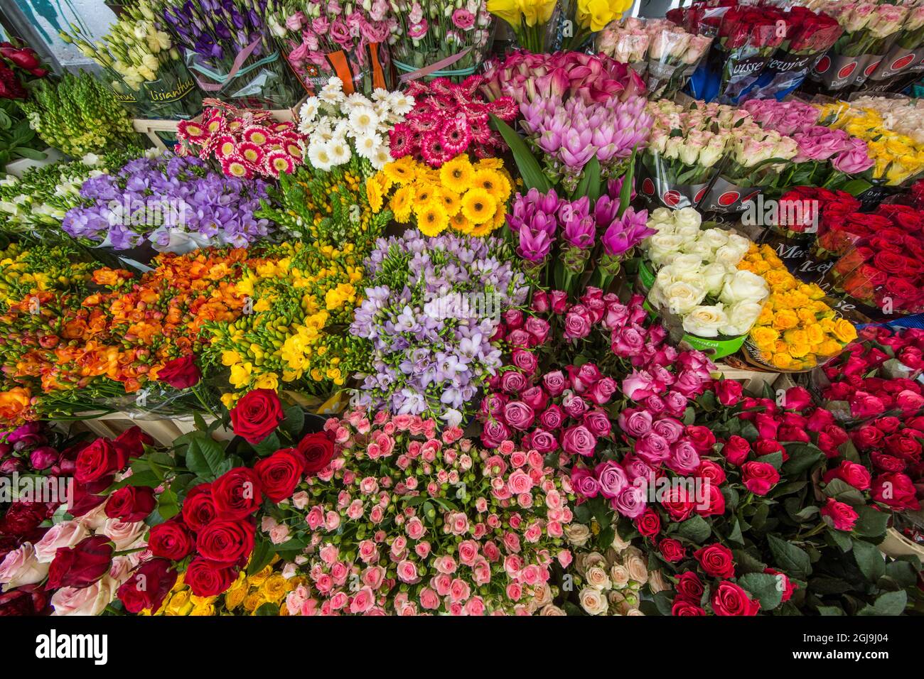 Europe, Slovenia, Ljubljana. Flowers for sale on vendor stand Stock ...