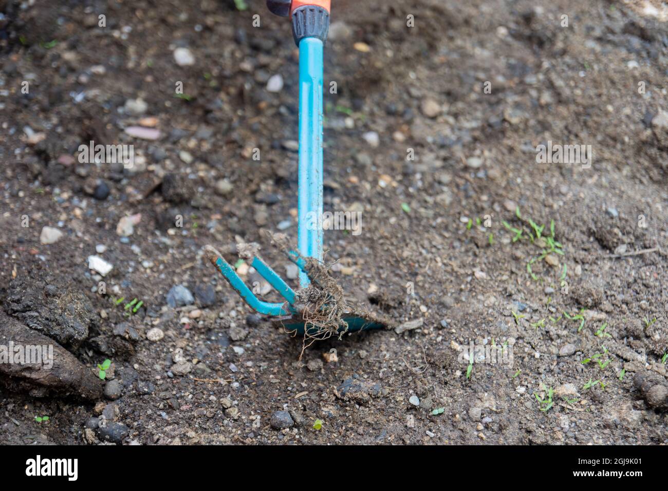 Hand hoeing hi-res stock photography and images - Alamy