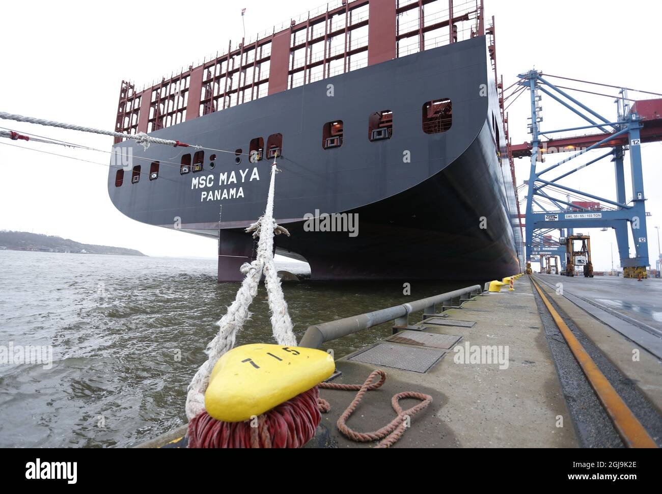 Msc maya hi-res stock photography and images - Alamy