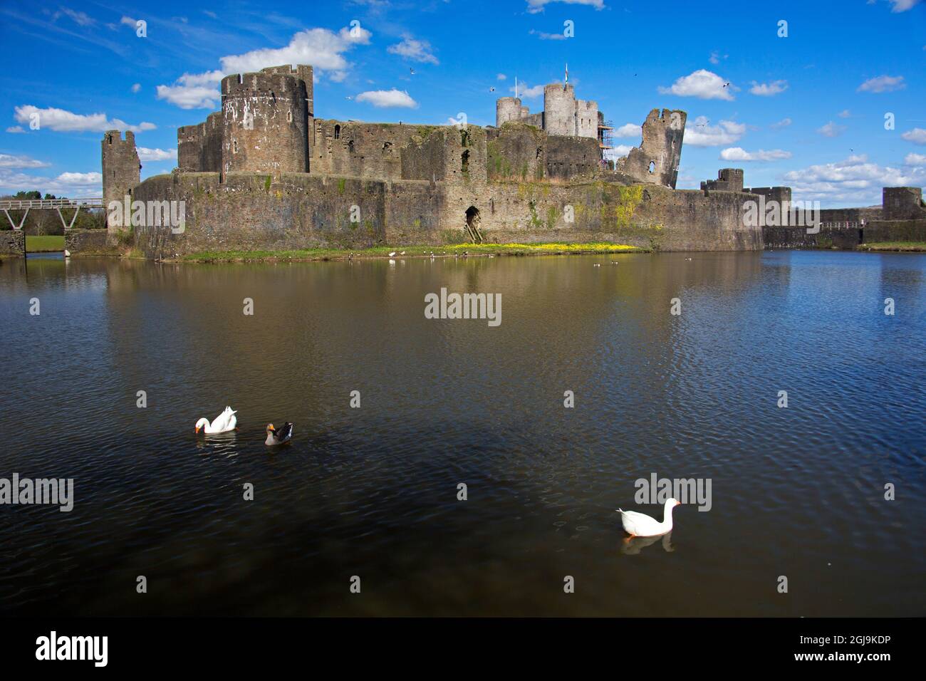 Largest castle in wales hi-res stock photography and images - Alamy