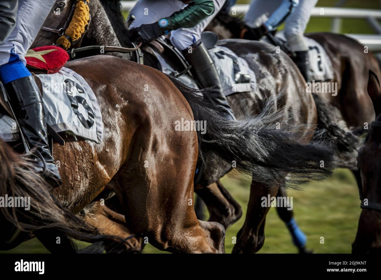 Race numbers startbox hi-res stock photography and images - Alamy