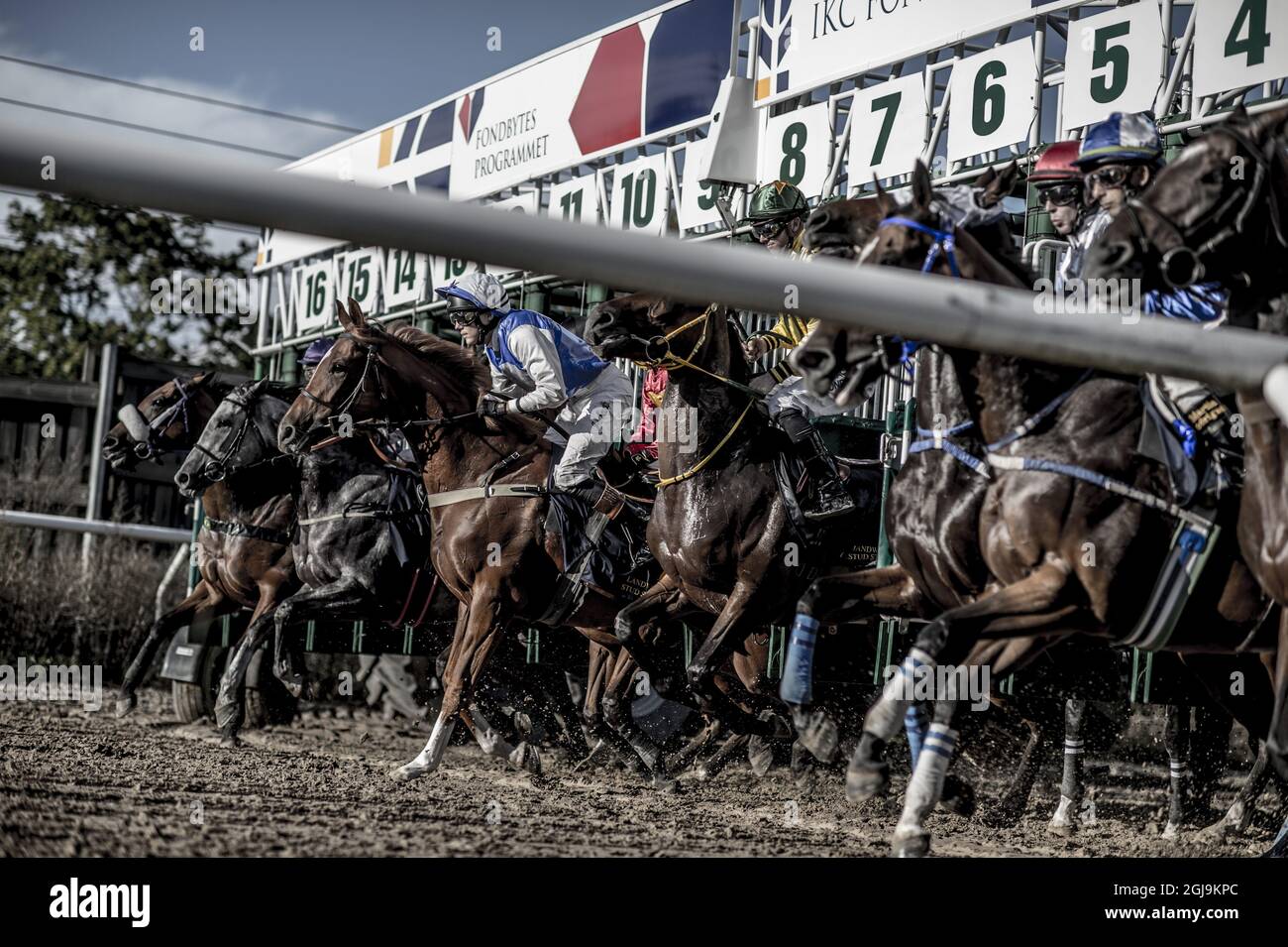 STOCKHOLM 2015-12-20 The start of a horse race. Foto: Staffan Lowstedt ...