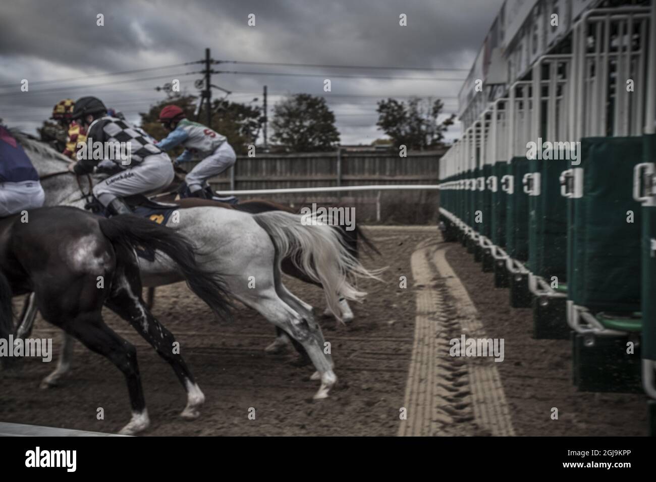 STOCKHOLM 2015-12-20 The start of a horse race. Foto: Staffan Lowstedt ...