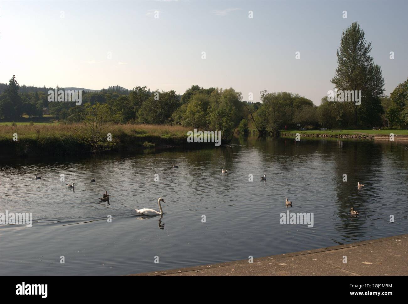 view of river Teith at Callander in summer Stock Photo - Alamy