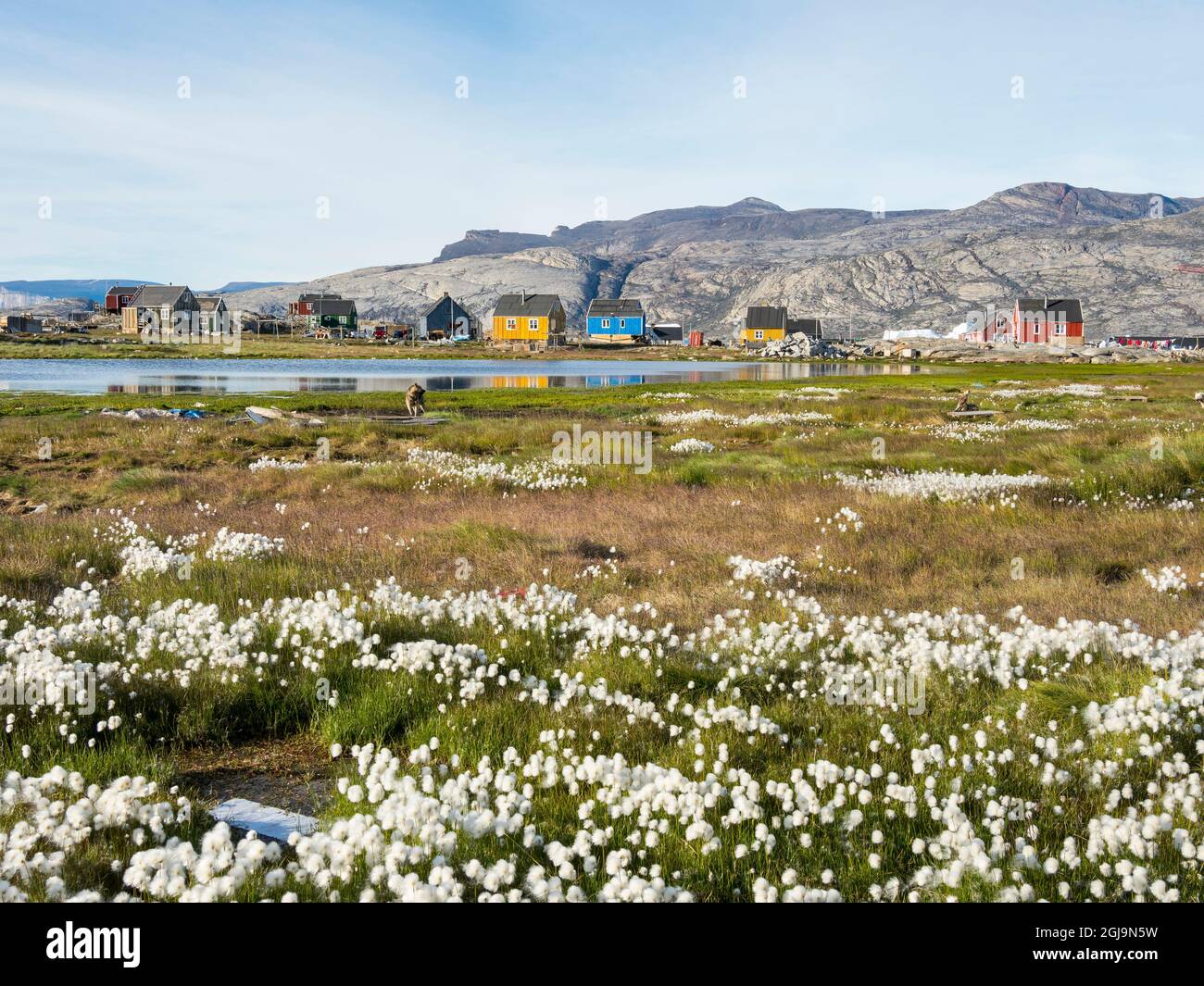 Small fishing village on Ikerasak island in the Uummannaq Fjord System ...