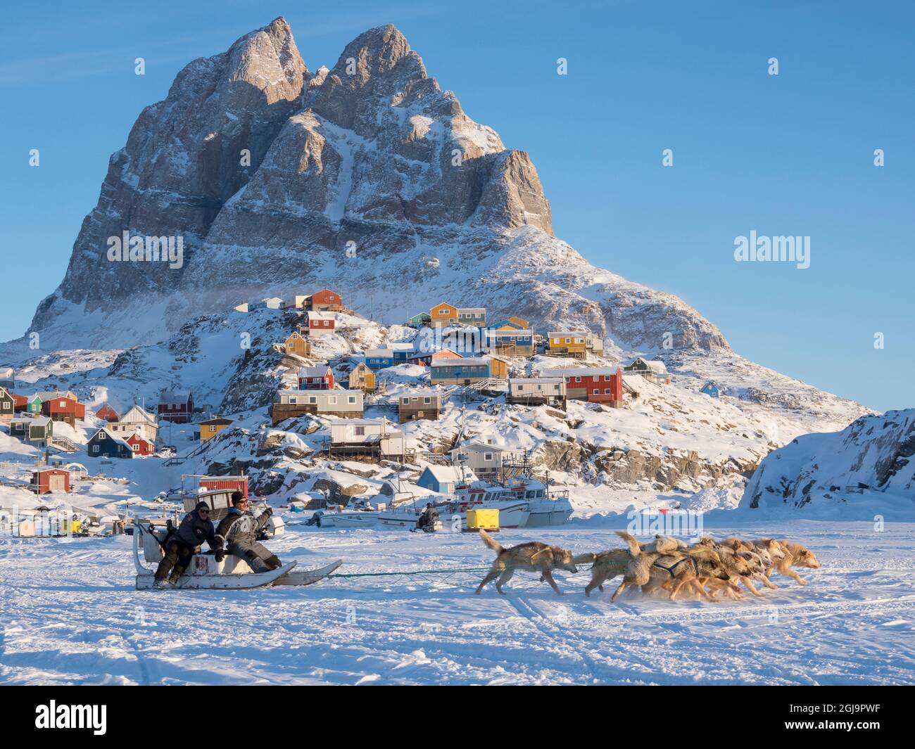 Harbor husky hi-res stock photography and images - Alamy