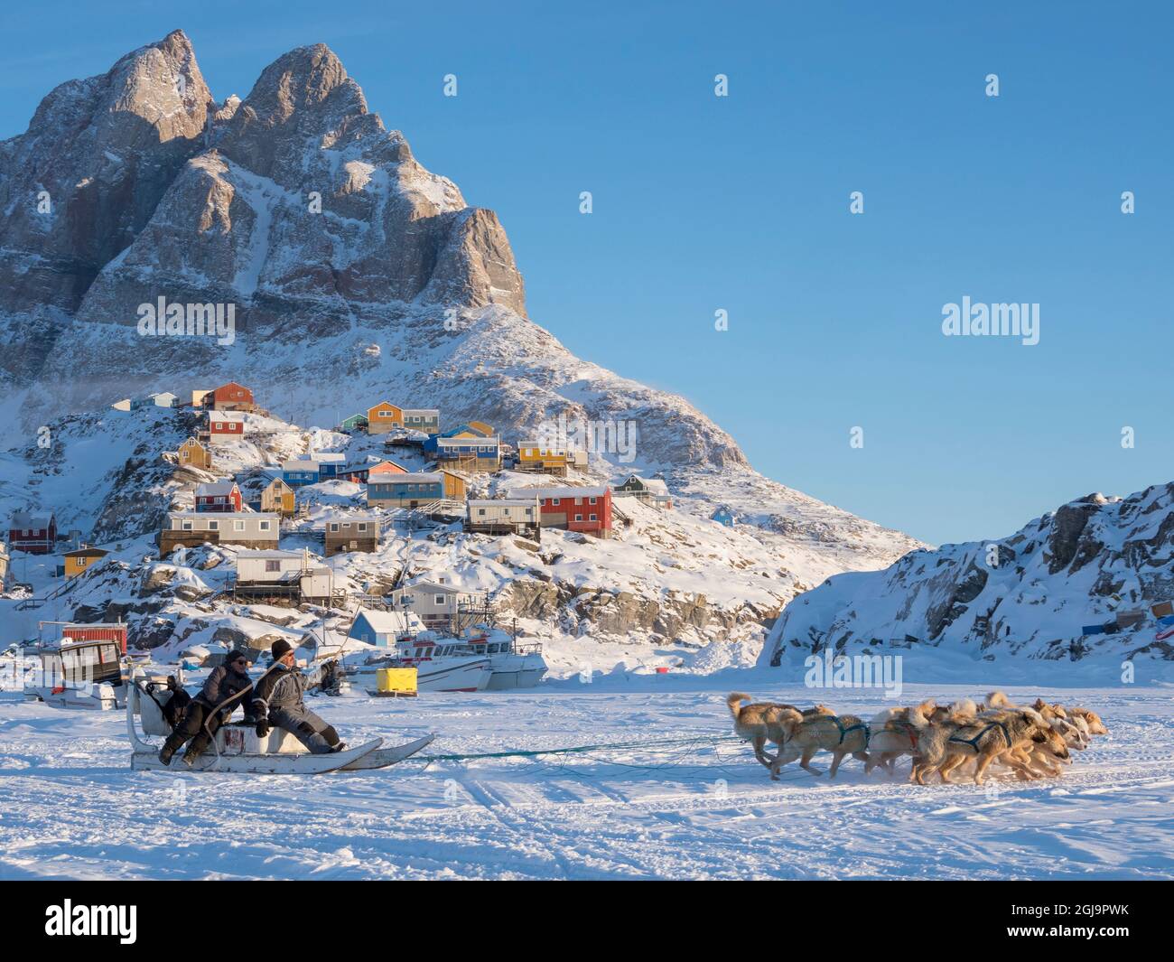 Harbor husky hi-res stock photography and images - Alamy