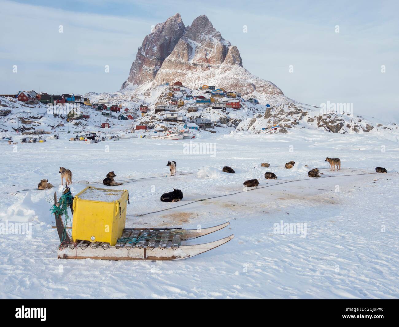 Harbor husky hi-res stock photography and images - Alamy