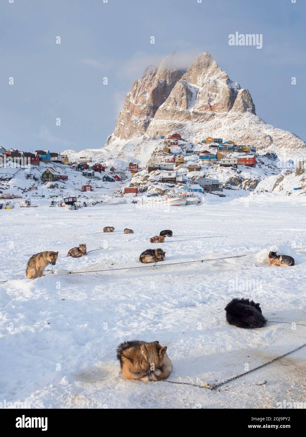 Harbor husky hi-res stock photography and images - Alamy