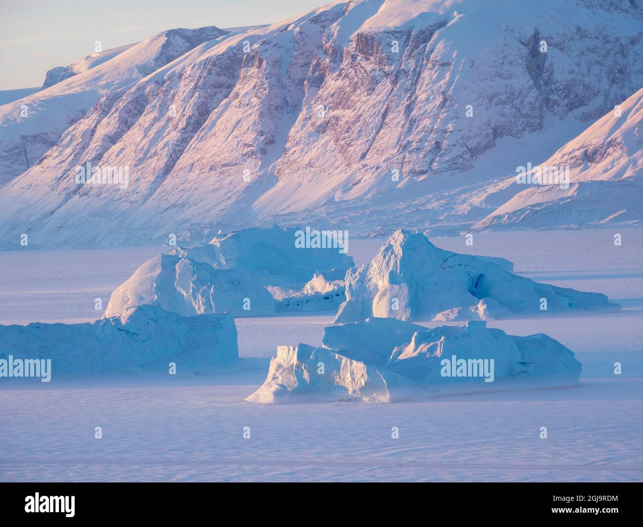 Icebergs frozen into the sea ice of the Uummannaq Fjord System during ...