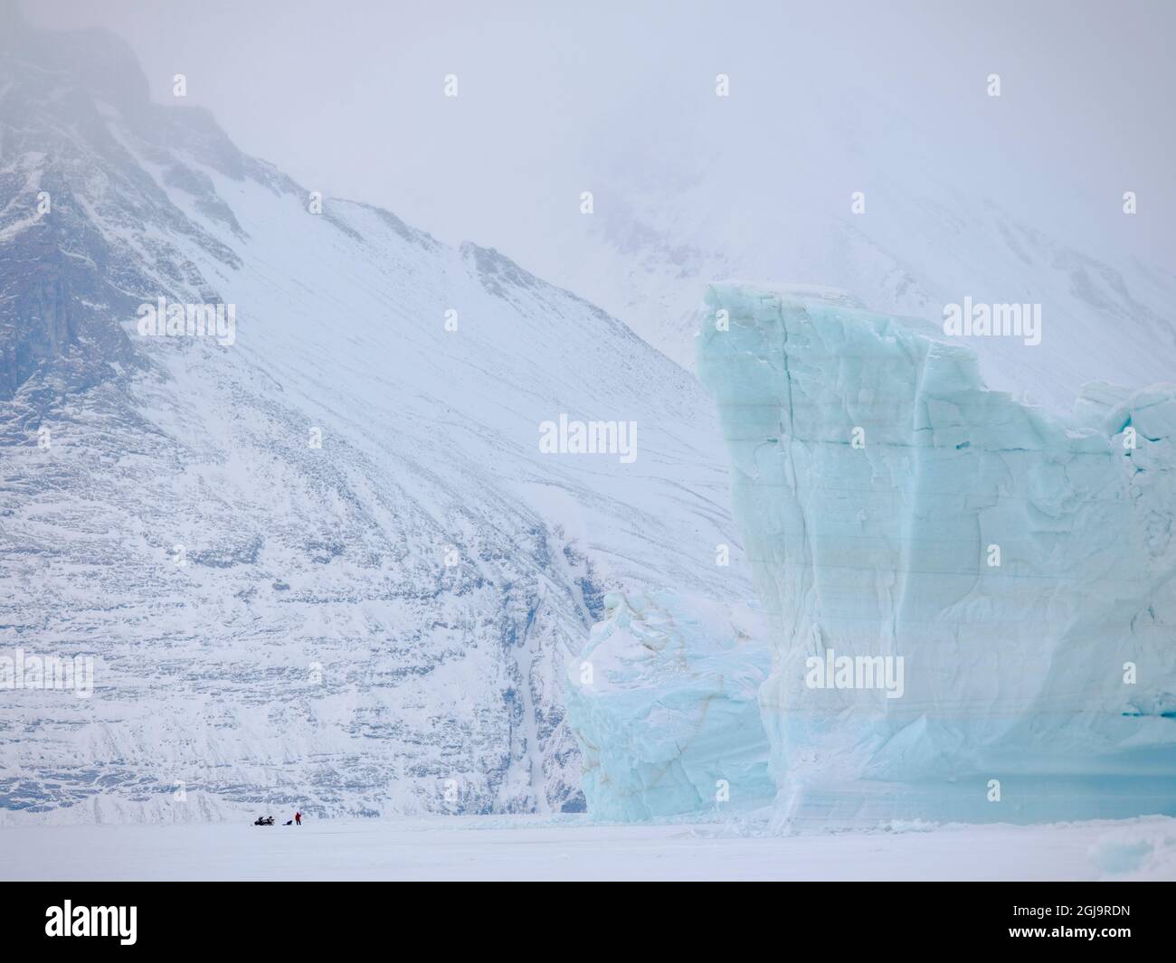 Icebergs frozen into the sea ice of the Uummannaq Fjord System during ...