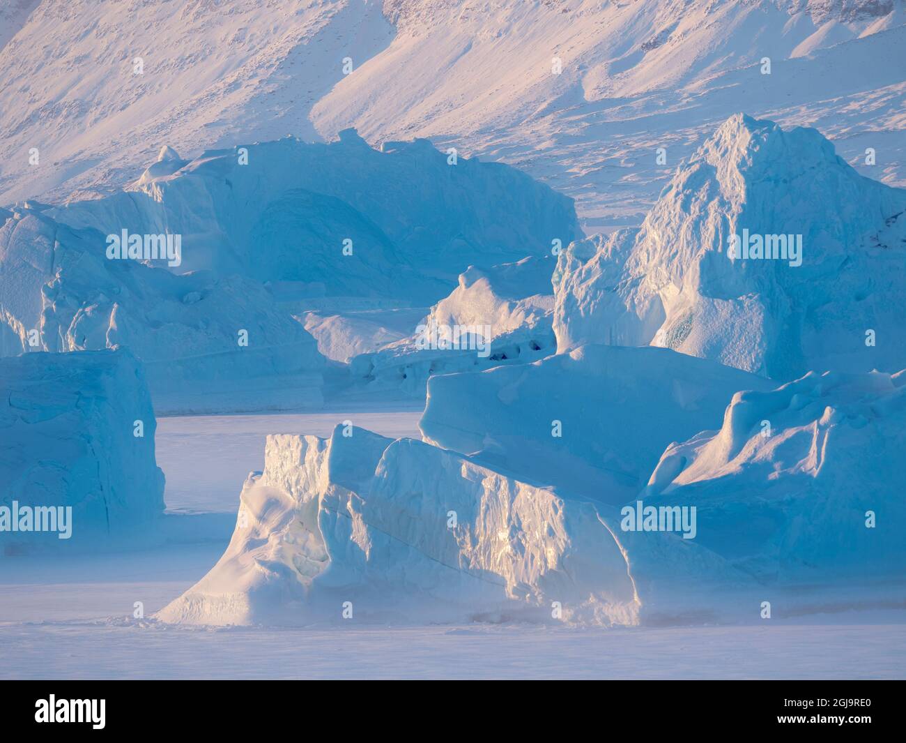 Icebergs frozen into the sea ice of the Uummannaq Fjord System during ...