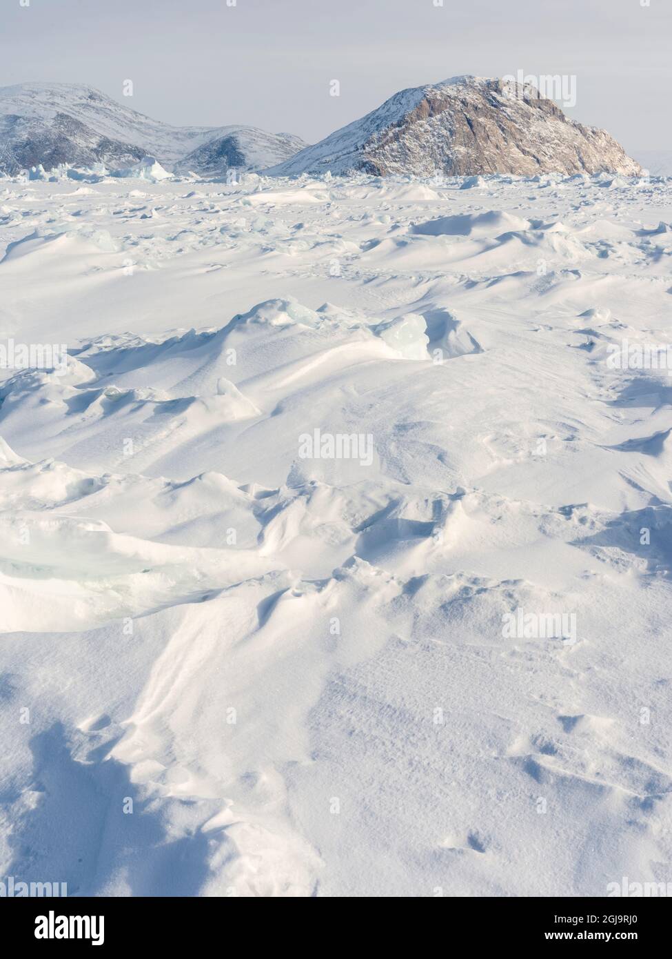 Icebergs frozen into the sea ice of the Uummannaq Fjord System near ...