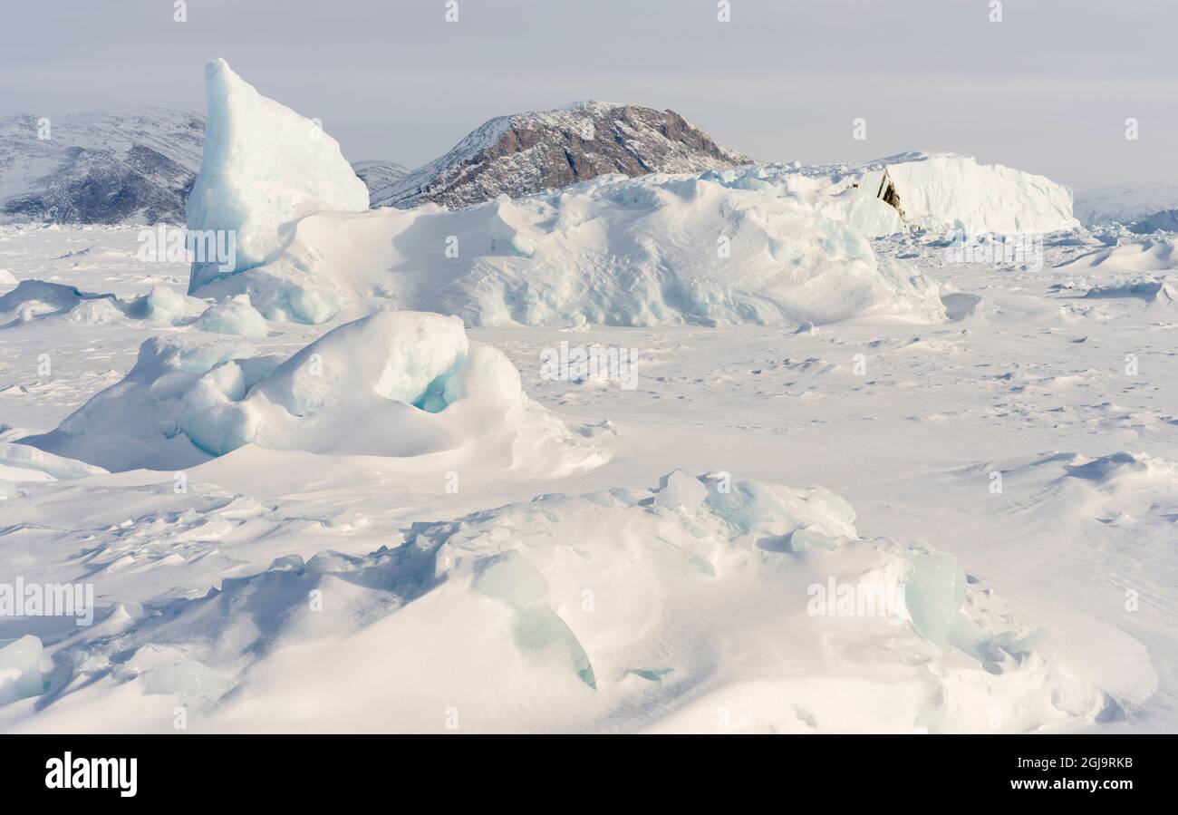 Icebergs frozen into the sea ice of the Uummannaq Fjord System near ...
