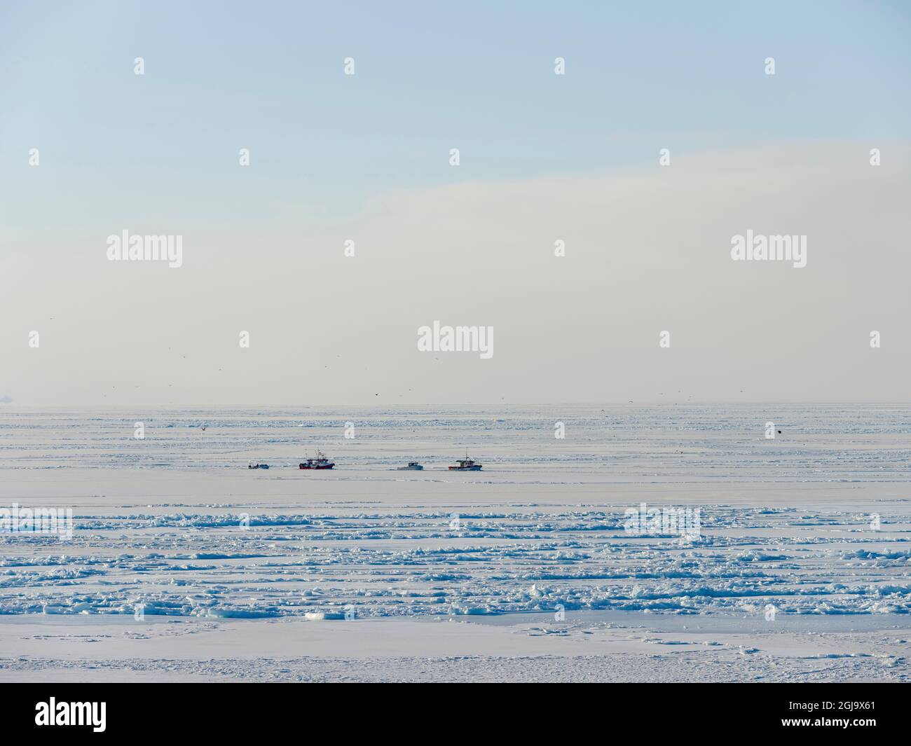 Ships in the sea ice of the frozen Disko Bay during winter, West ...
