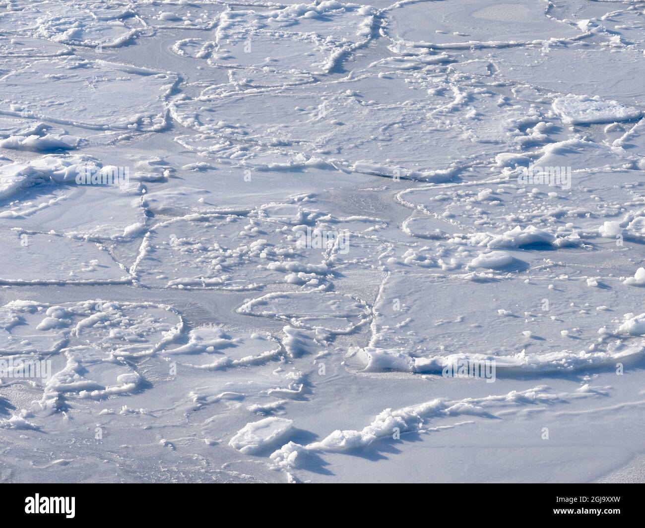 Pancake ice, new sea ice is building up. Disko Bay during winter, West ...