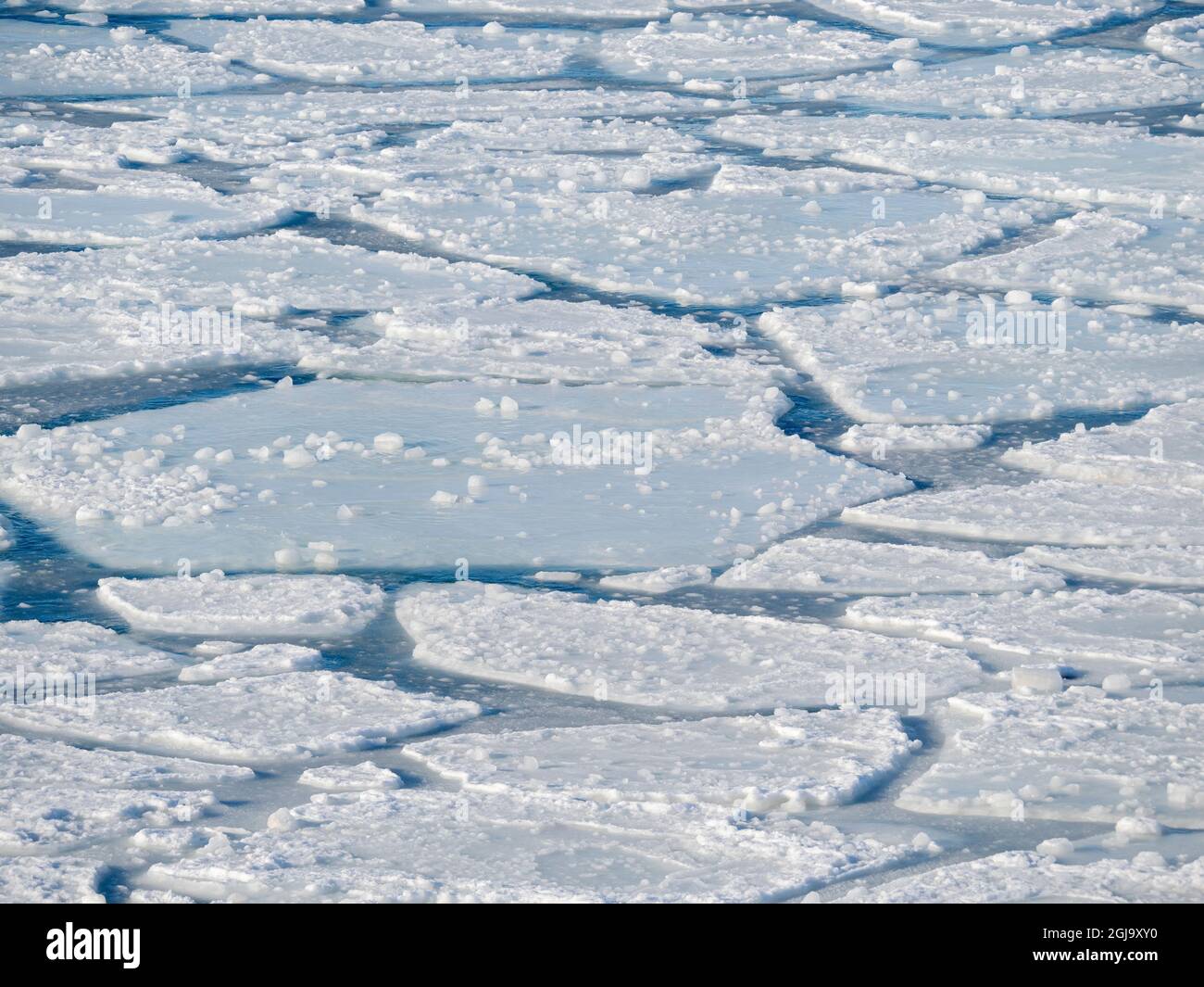 Pancake ice, new sea ice is building up. Disko Bay during winter, West ...