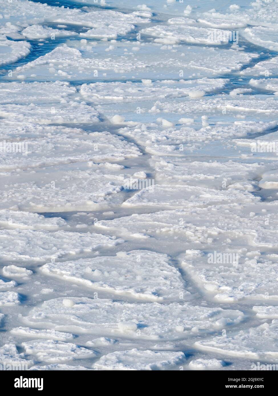Pancake ice, new sea ice is building up. Disko Bay during winter, West ...