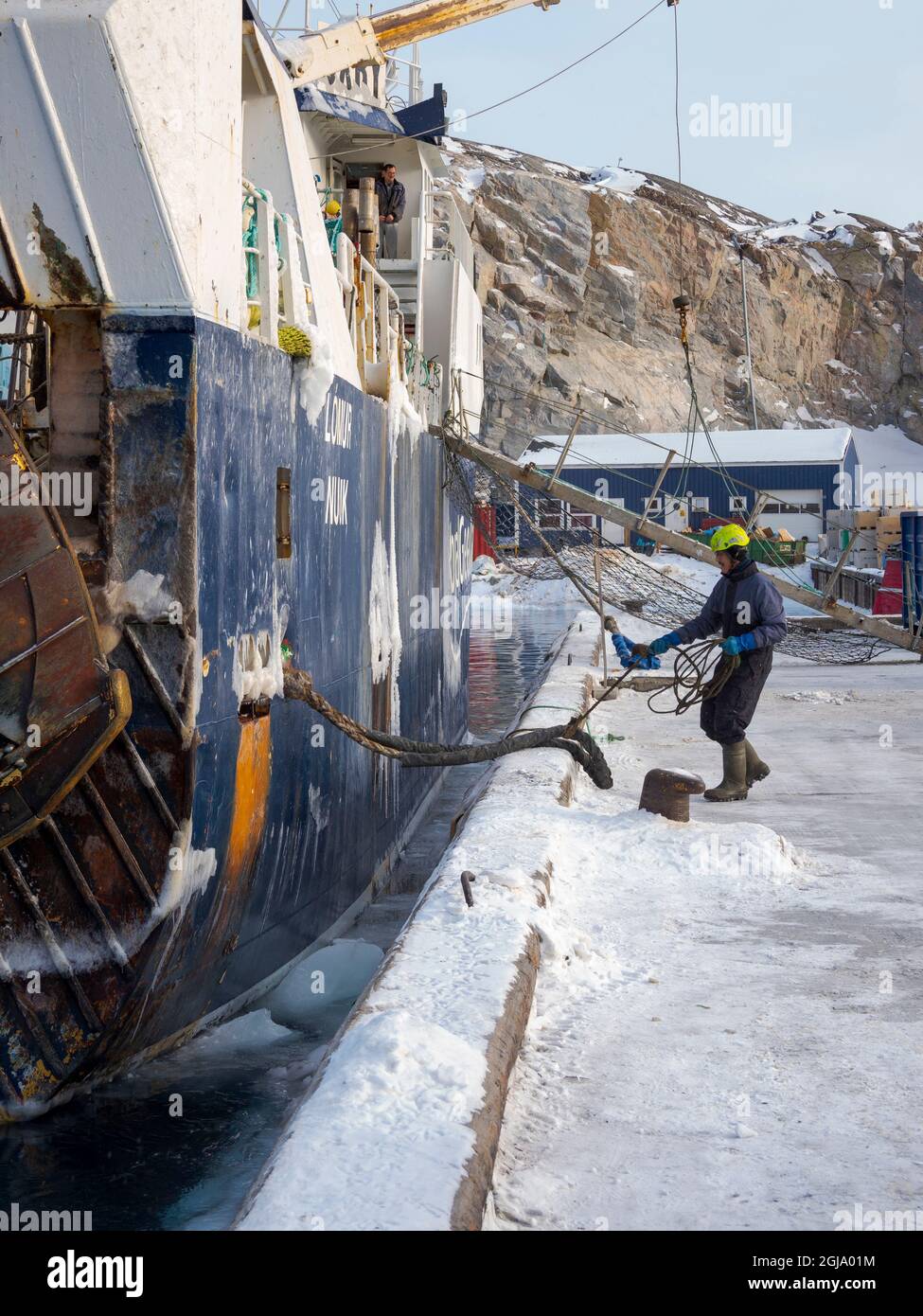 Trawler Lomur run by Royal Greenland. Winter in the frozen harbor of ...